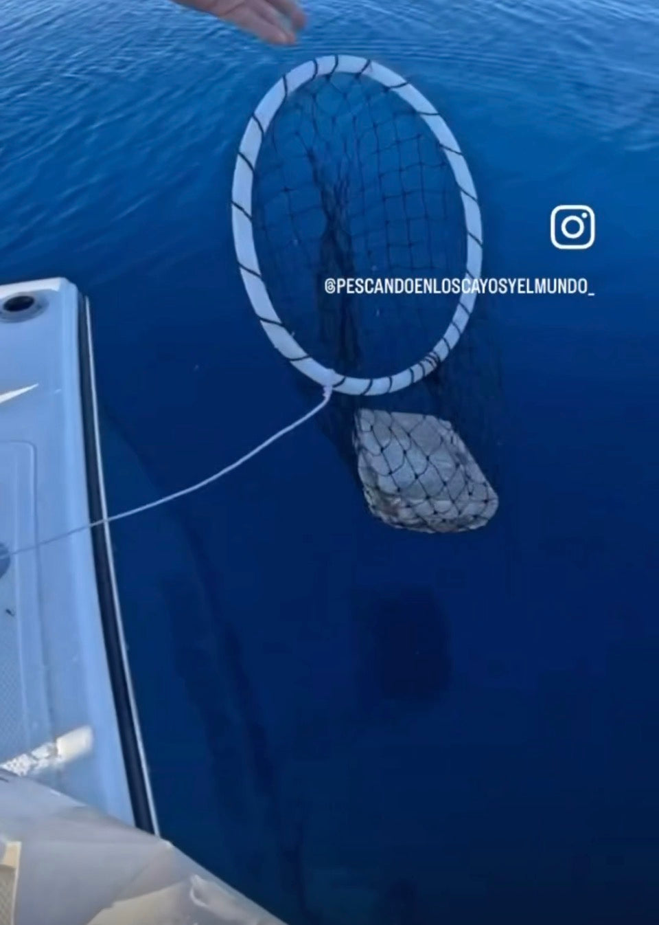 Blue Label Chum in Action: Real Results on the Water – Tournament ...